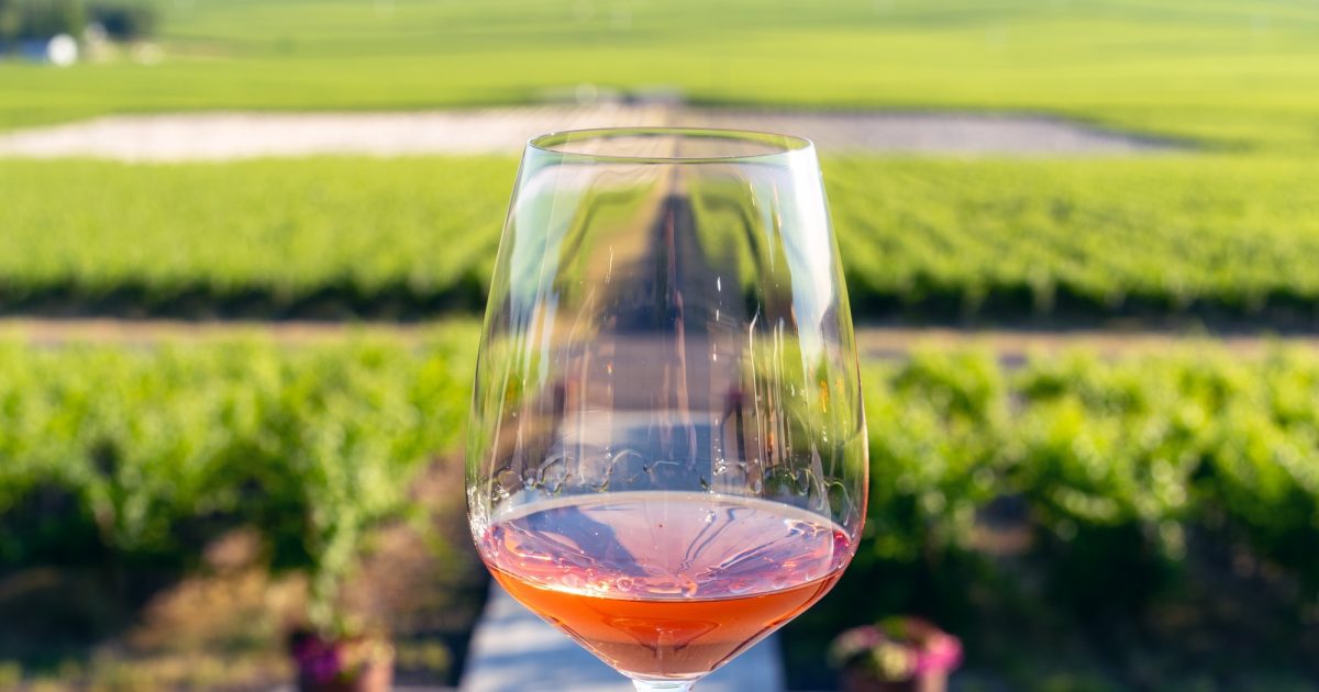 A Guide to Red Mountain AVA Wineries & Vineyards | Visit Tri-Cities