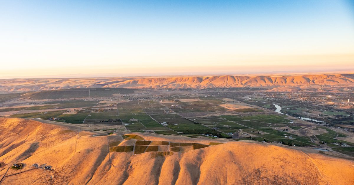 Red Mountain AVA Alliance | Visit Tri-Cities